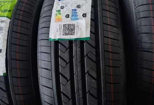 Rapid P309 185/65 R15