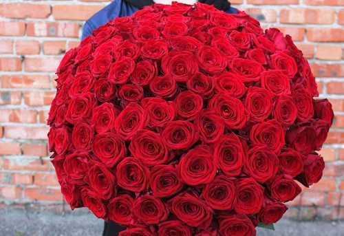 Красные розы 60 см, 70 см, 80 см, 90 см