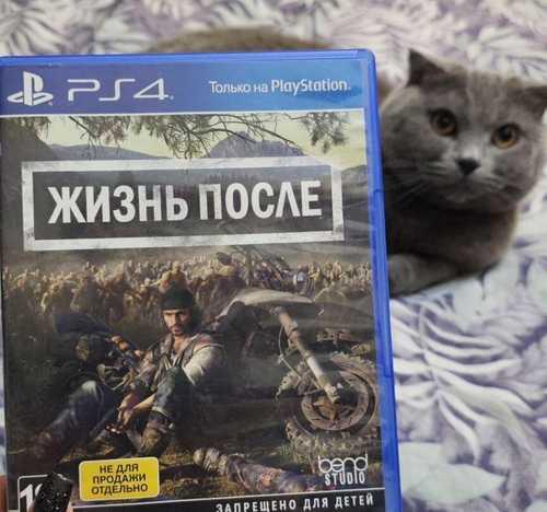 Жизнь после ps4
