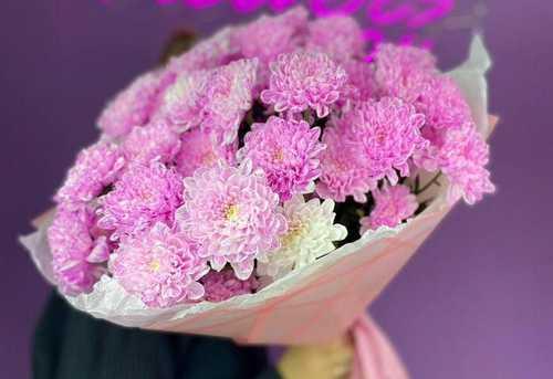 Хризантемы, цветы, букет из ромашек Flowers124