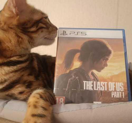 The Last of Us Part 1 ps5