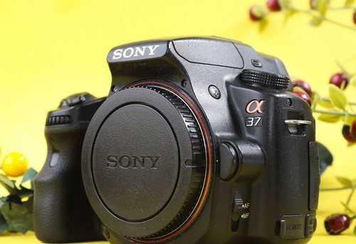 Фотоаппарат Sony a37 body