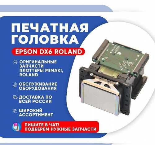 Печатающая головка принтера Epson DX6 Roland