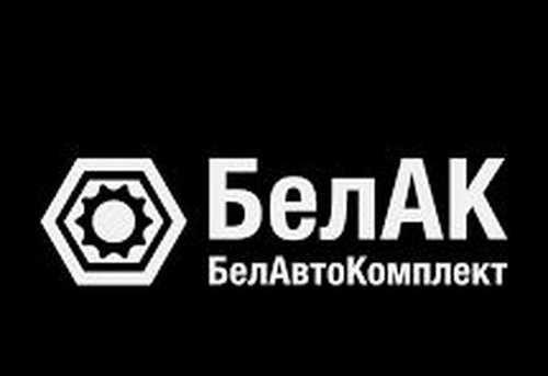 БЕЛАВТОКОМПЛЕКТ бак.07002 Набор инструмента