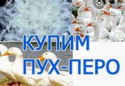 Скупка пух Подушки перины
