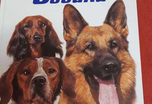 Энциклопедия Собаки