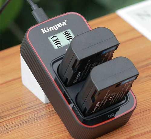 2 аккумулятора Panasonic BLF19+зарядка Kingma