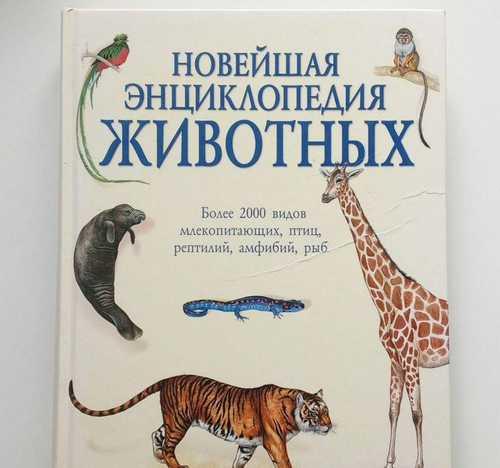 Энциклопедия животных 2008г