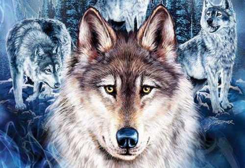 Алмазная мозаика 30x40 Волки на фоне зимнего засне