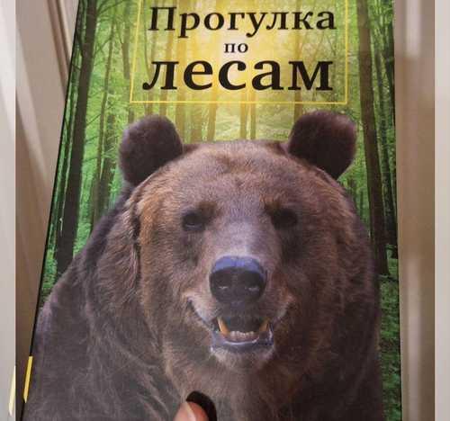 Прогулка по лесам книга