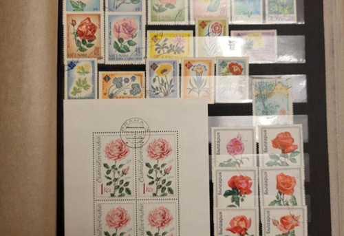 Почтовые марки. Цветы. Растения