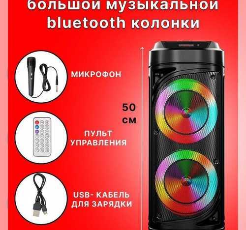 Аренда большой Bluetooth (блютуз) колонки