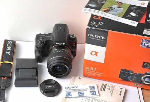 Sony A37 kit