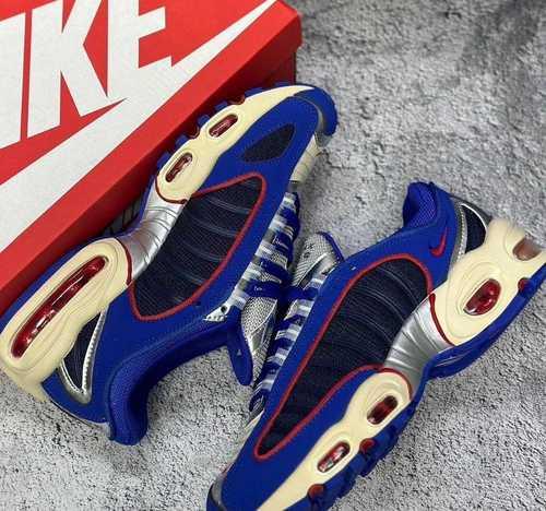 Кроссовки Nike Air Max Tailwind IV House Capsule