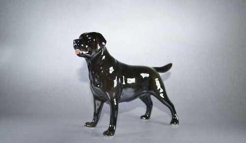 Лабрадор чёрный фарфоровая статуэтка