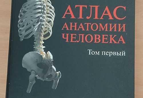 Атлас анатомии человека под ред. Синельников