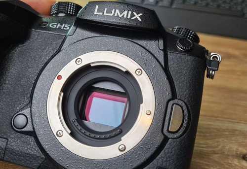 Panasonic Lumix GH5 Vlog, клетка, доп. питание