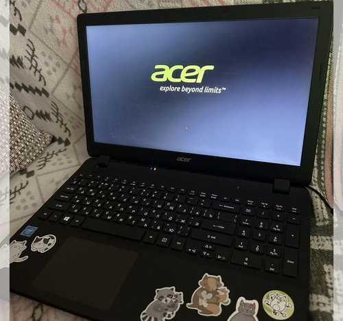 Acer extensa 2519