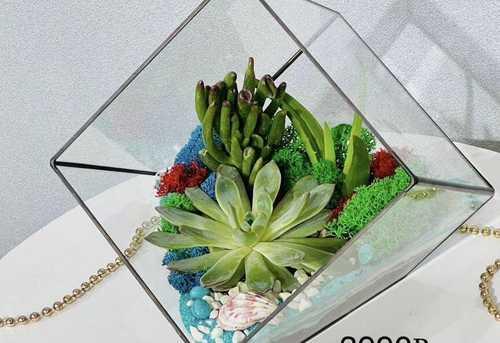 Террариум с растениями подарочный