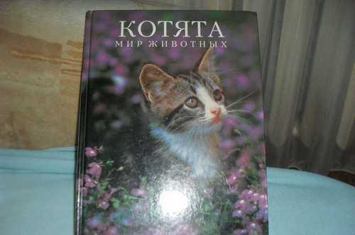 Книга "Котята"