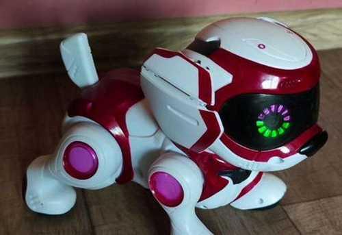 Собака-робот Teksta