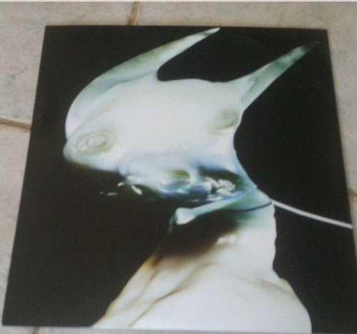 Arca - Xen Deluxe 10" LP