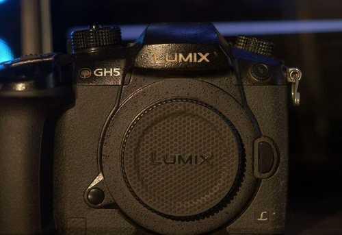 Panasonic Lumix GH5 "V-Log"