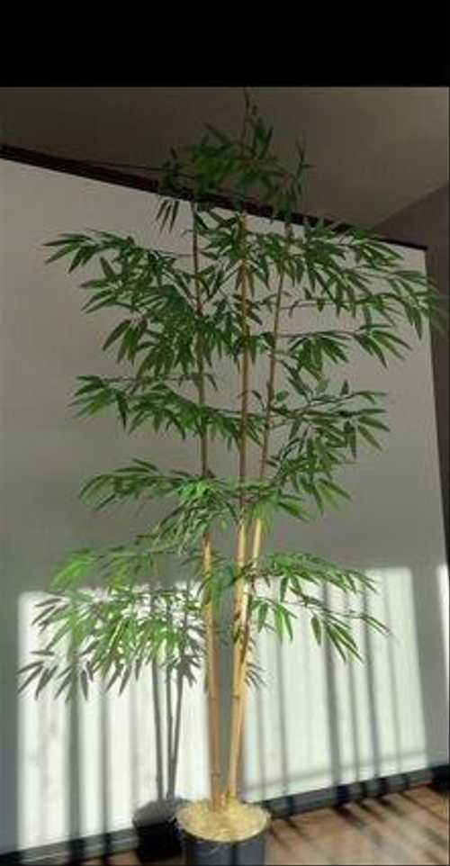 Бамбук искусственный