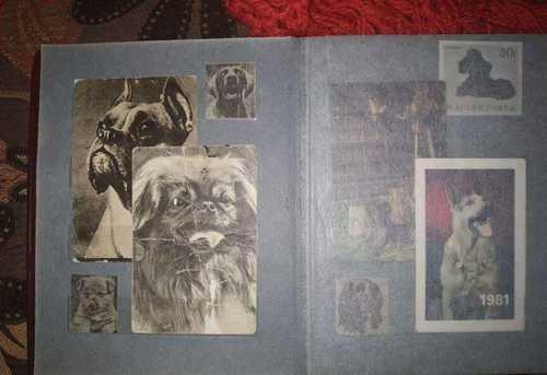 Календарики этикетки СССР собаки голуби растения