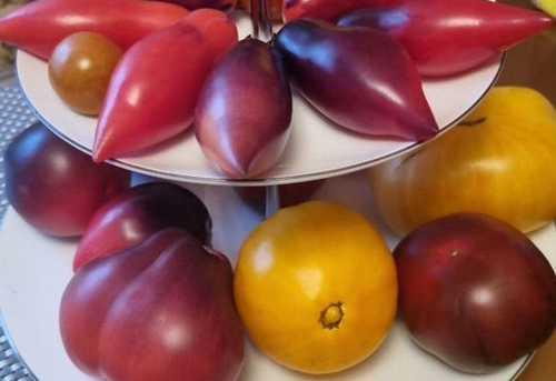 Семена редких, сладких сортов томата