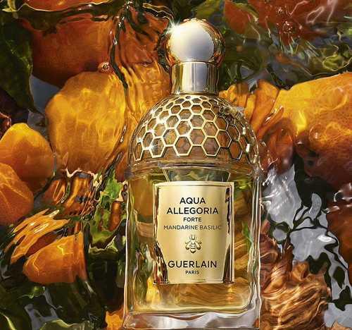 Aqua Allegoria Forte Mandarine Basilic Guerlain