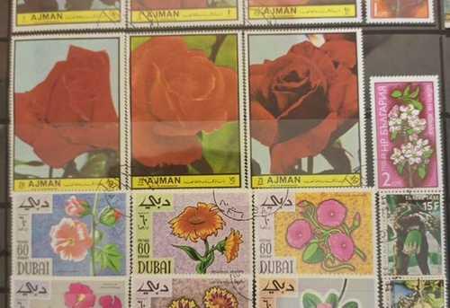 Почтовые марки Флора