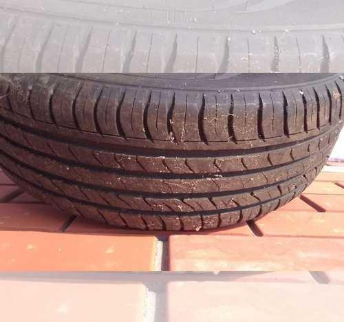 Nokian Tyres Nordman SX2 195/65 R15