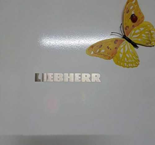 Liebhier(No Frost)