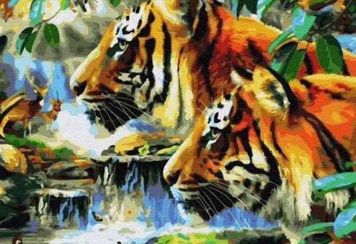 Картина по номерам-Два тигра