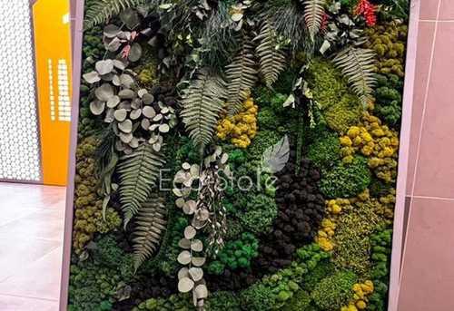 Картина из мха. Яркое панно с растениями
