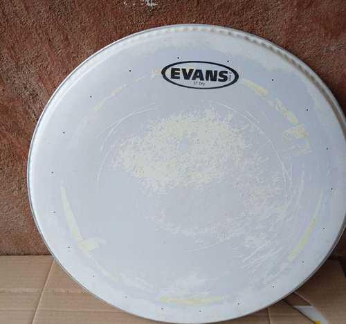 Evans ST Dry(USA)пластик 14"