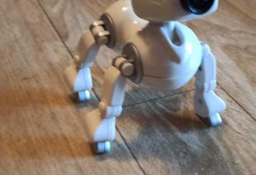 Веб-камера собака-робот
