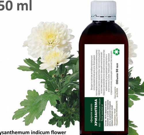 Эфирное масло хризантемы / Chrysanthemum indicum f