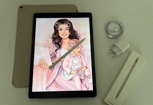 iPad Pro 12.9 Gb 128 LTE+ Procreate