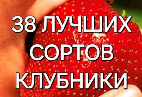 Клубника 38 Лучших сортов Сладкая Крупная до 30см