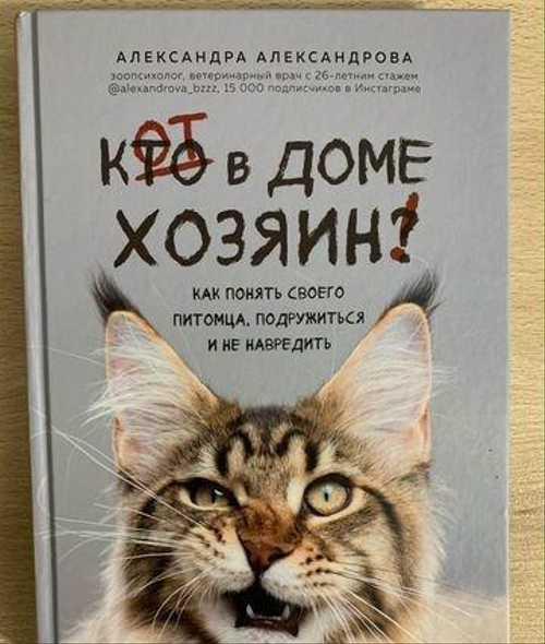 Кот в доме хозяин