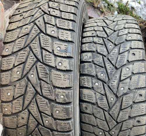 Dunlop Winter Maxx 175/65 R14