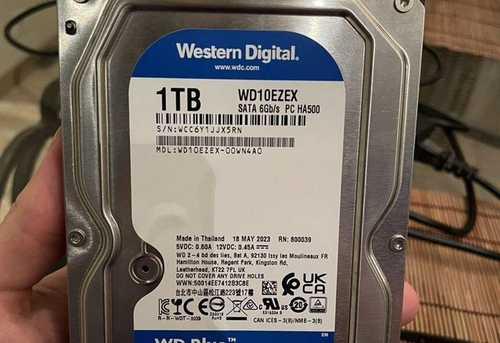 Жесткий диск 1 тб Western Digital (Blue)