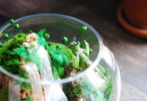 Моссариум флорариум с зелёным драконом