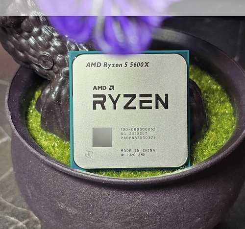 Новый Процессор AMD Ryzen 5 5600x