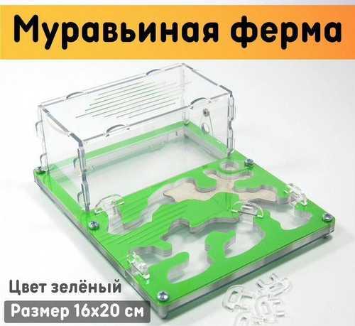 Муравьиная ферма "Для старта" размер 20х16х8см цве