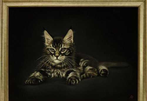 Котенок мейн-куна, картина масло на бархате