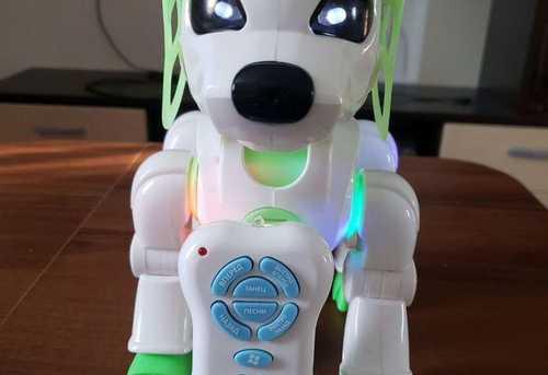 Интерактивная игрушка-робот собачка "Лакки"