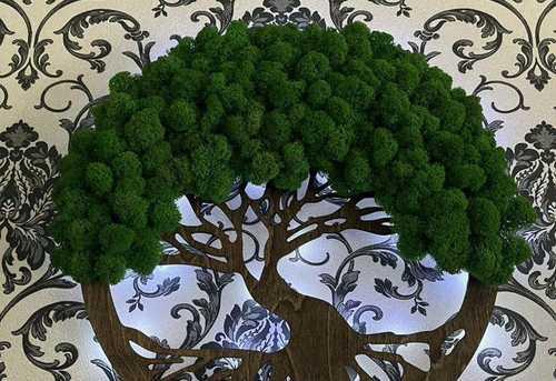 Дерево жизни из стабилизированного мха